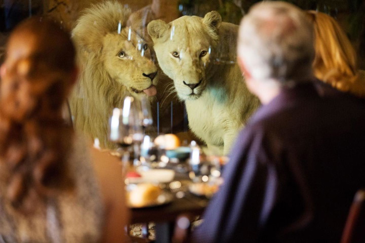Jamala Wildlife Lodge - Canberra