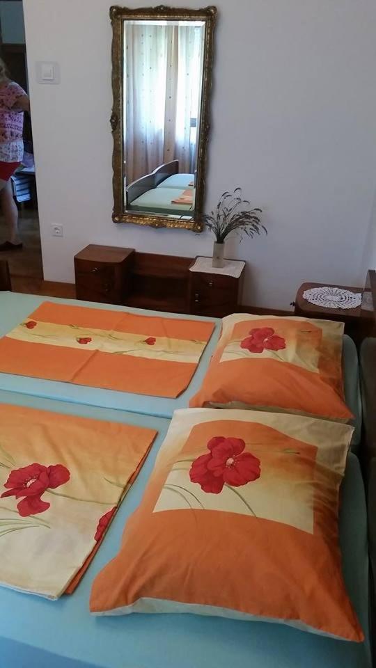 Apartment Tatjana - Kranj