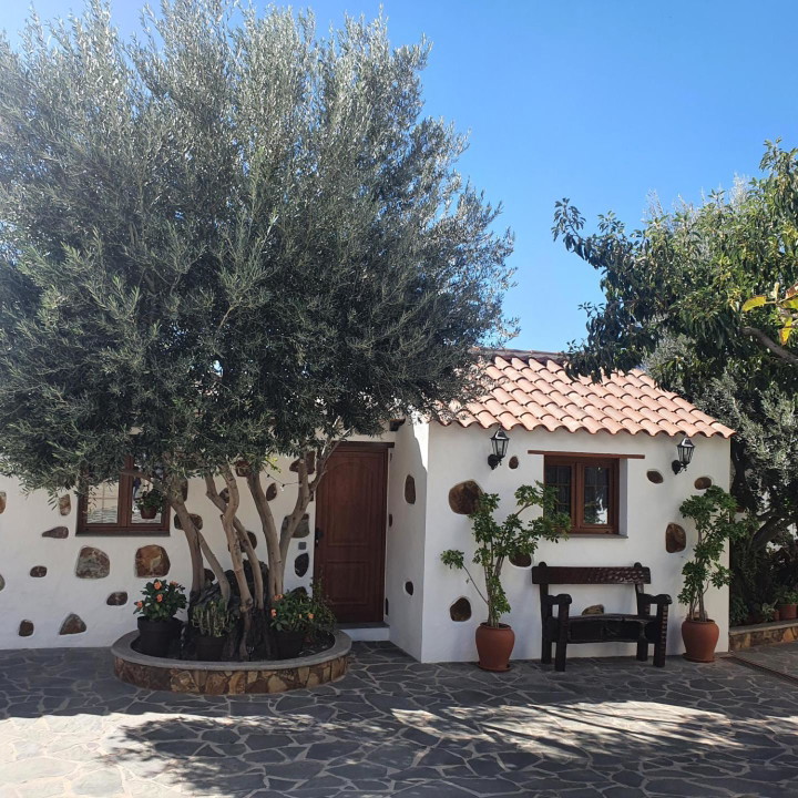 La Gallania De Papá Pepe - Gran Canaria
