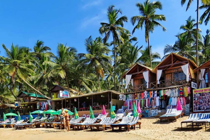 Big Fish - Goa