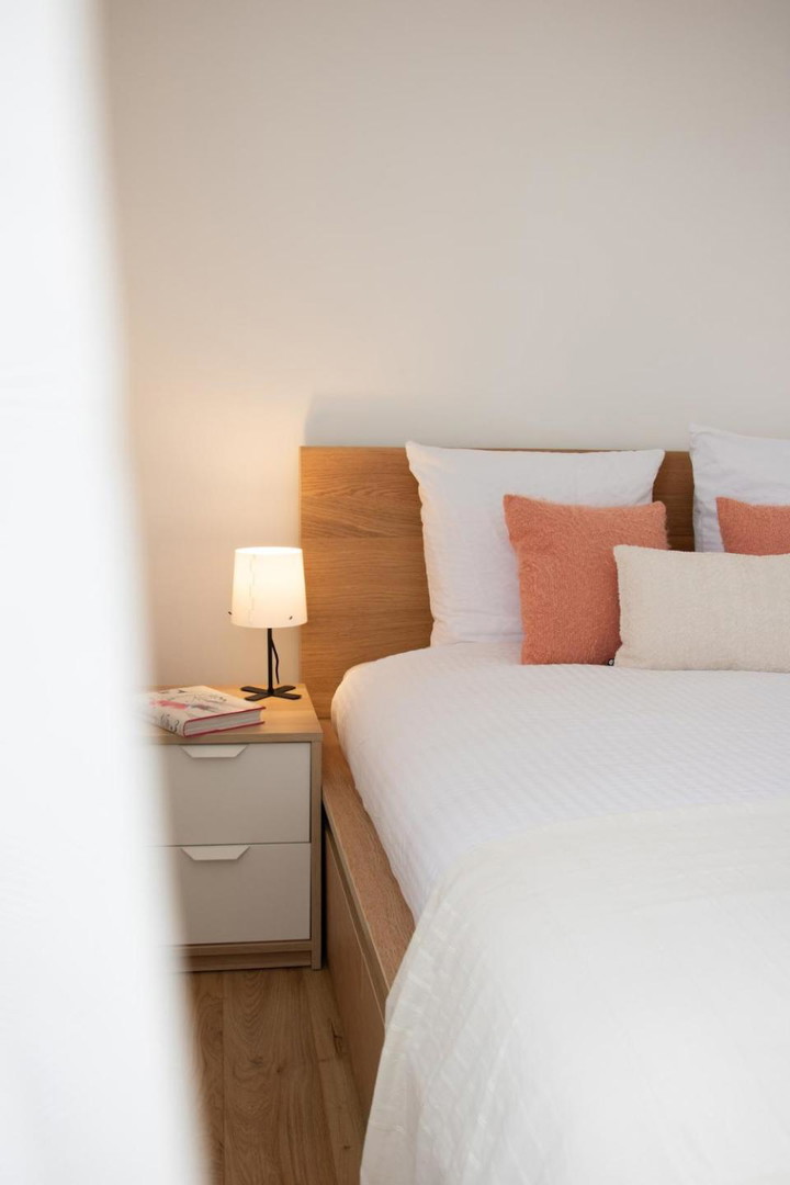 Cozy Apartment Nantes Polyclinic Zenith - Loire-Atlantique