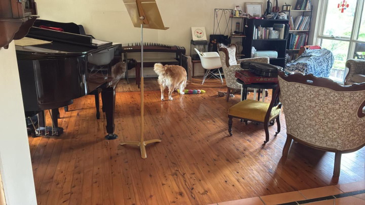 Serenade Homestay - Burwood