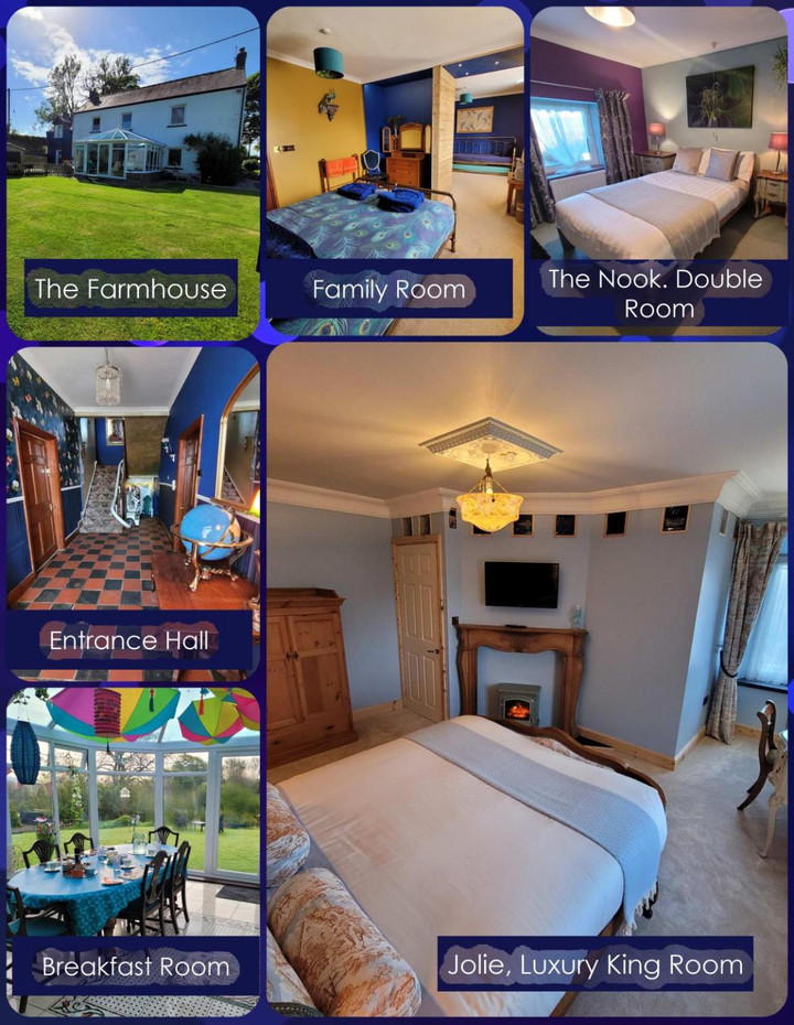 Farmhouse B&b Family Stay Or Romantic Break, On Our Smallholding Close To Narberth - Narberth
