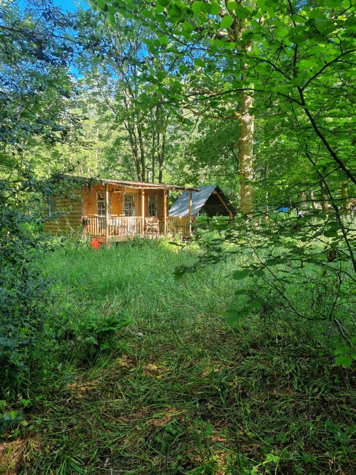 The Shack In The Woods- Off Grid - Warwickshire