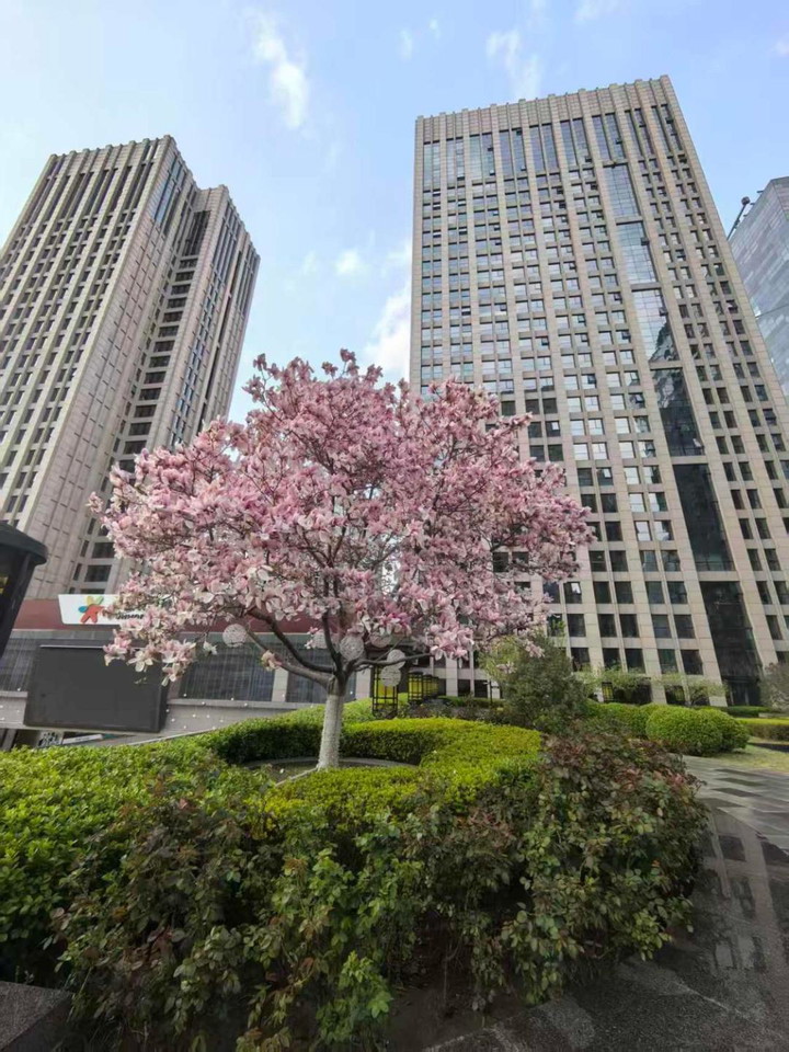 Cozy Nest Hotel Apartment - Peking