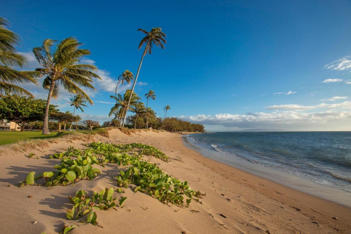 Maui Sunset #A-117 Oceanfront Complex, Ocean View, Ground Floor, Full A/c - Kihei, HI
