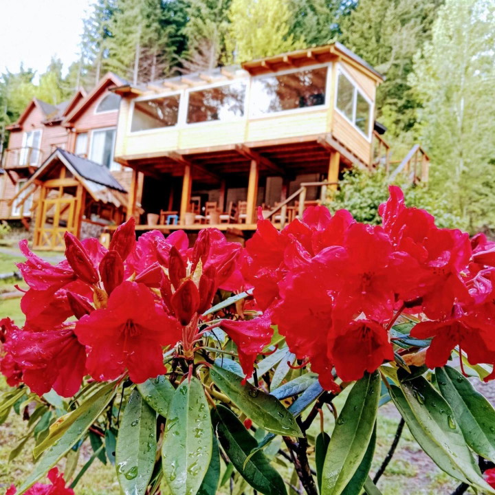 Hosteria Lekun Lekun - Villa La Angostura