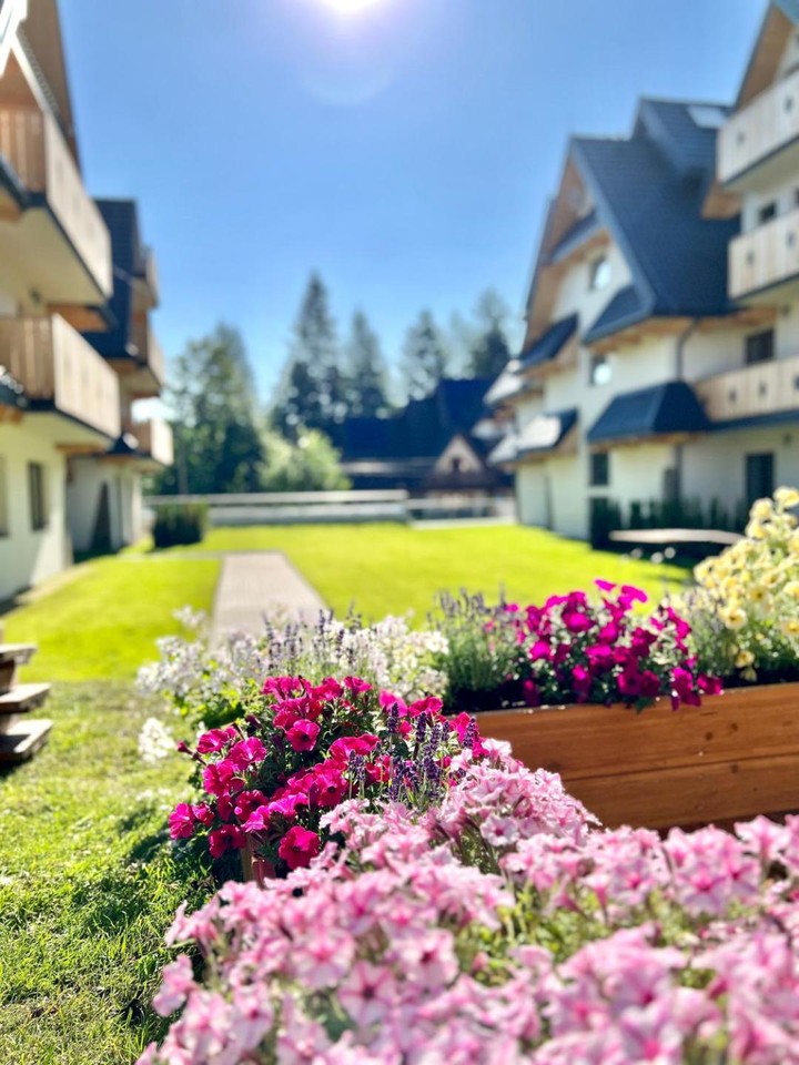 Nosal Ski & Wine Apartments - Zakopane