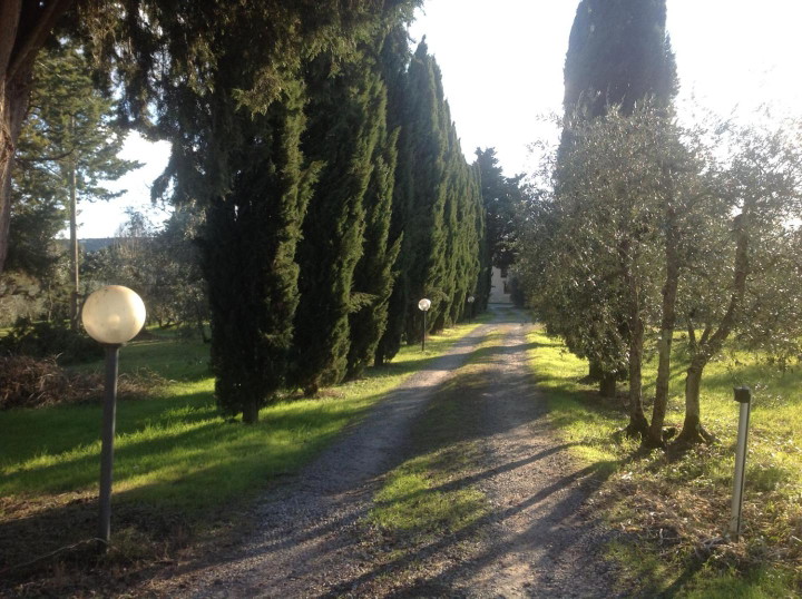 Sunshine Suites - Florence