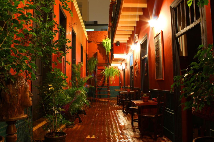 Kaclla, Urban Lodge - The Healing Dog Experience - Lima