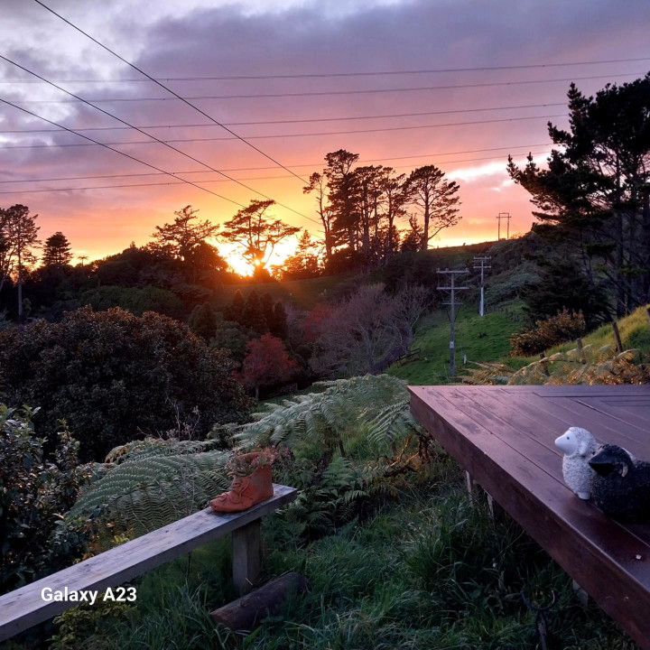 Cosy Country Cottage On A Sunny Hill - Taranaki