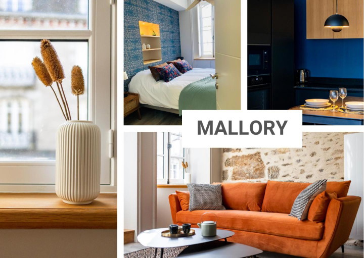 Mallory - Appartement Spacieux Dinan Centre - Dinan