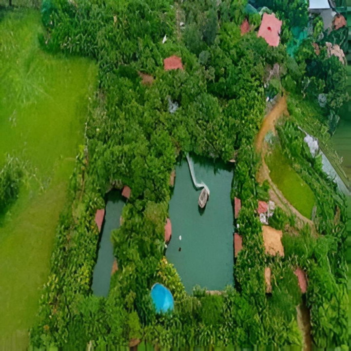 Mango Meadows - Vaikom