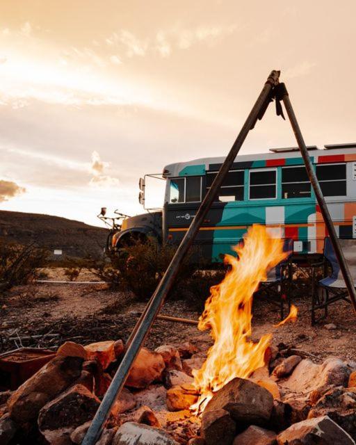 Camping At Desert Gardens Oasis In Lobo, Tx - United States