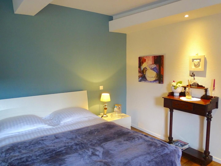 Les Myosotis Chambres D'hôtes - Sarreguemines - Sarreguemines