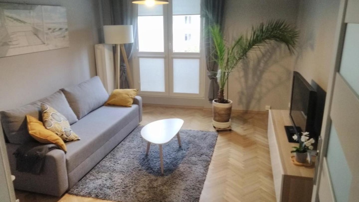 Apartament Oaza No 17 Greyt - Torun