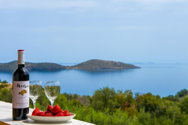 Elounda Anemelia Apartments - Grecja
