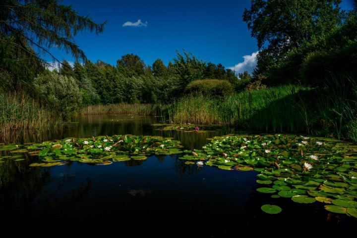 Idilliska Latgaliešu Lauku Māja Ar Melno Pirti - Lettland