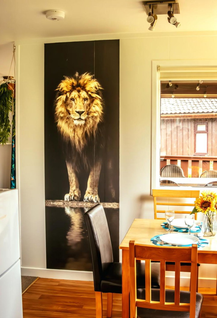 Wild Jungle Retreat - Dunoon