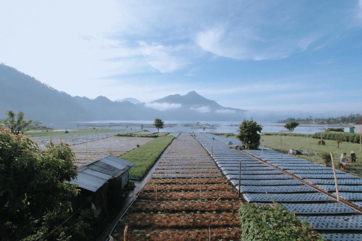 Lake Batur Cabin - Bali
