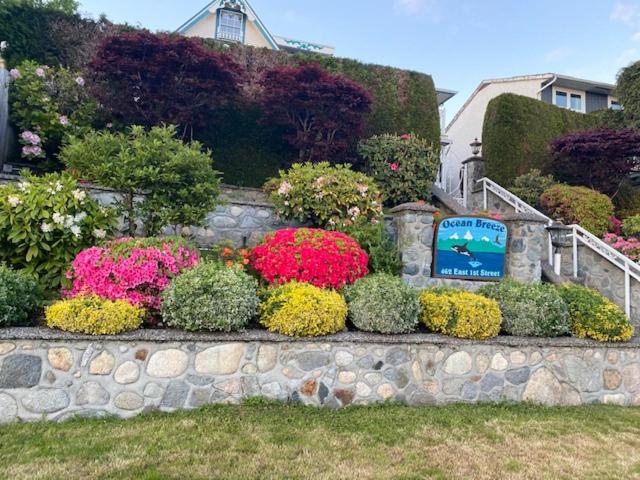 Ocean Breeze Executive Bed And Breakfast - West Vancouver