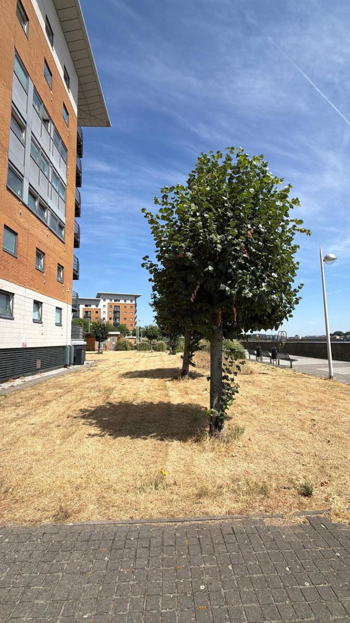 Elson Apartments - Dartford
