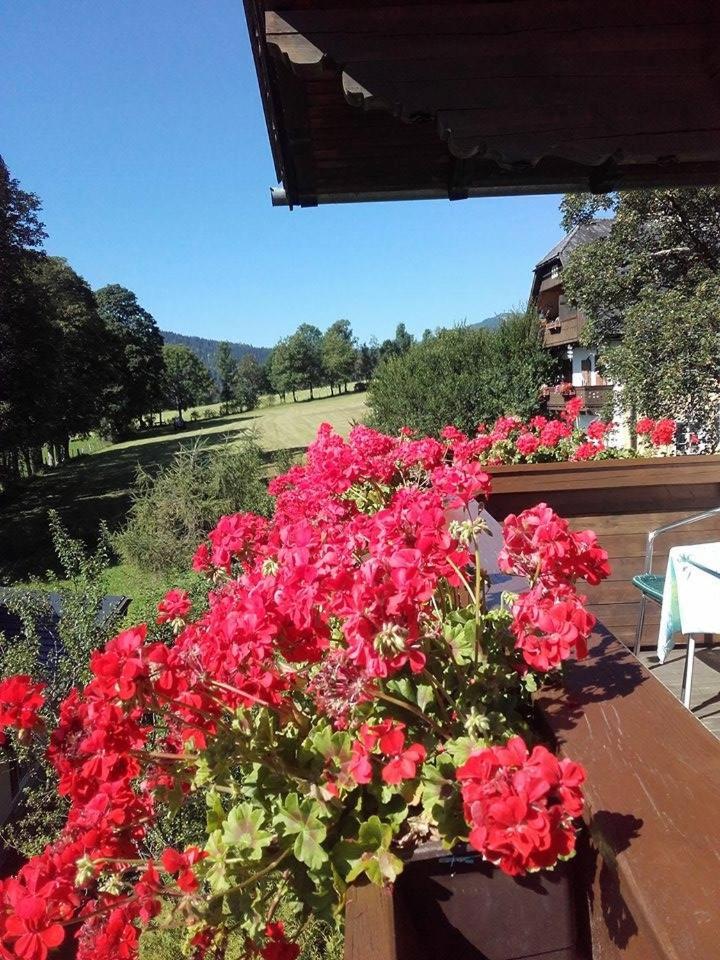 Ferienhaus Strasser - Ramsau am Dachstein