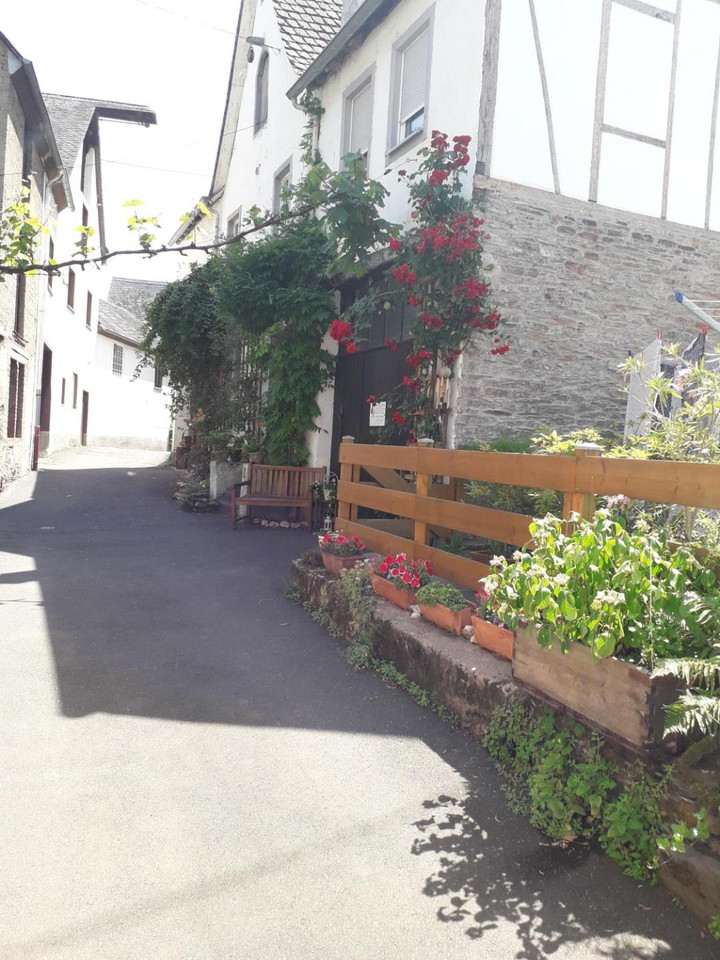 Ferienapartment Luise - Hahn