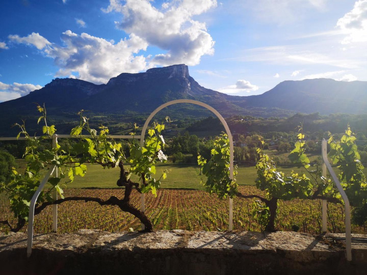 Domaine Des Granges Longes - Challes-les-Eaux