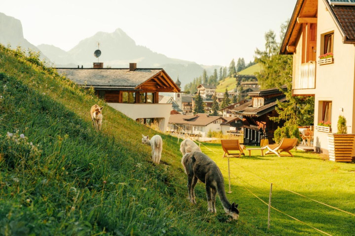 Planat - Alta Badia