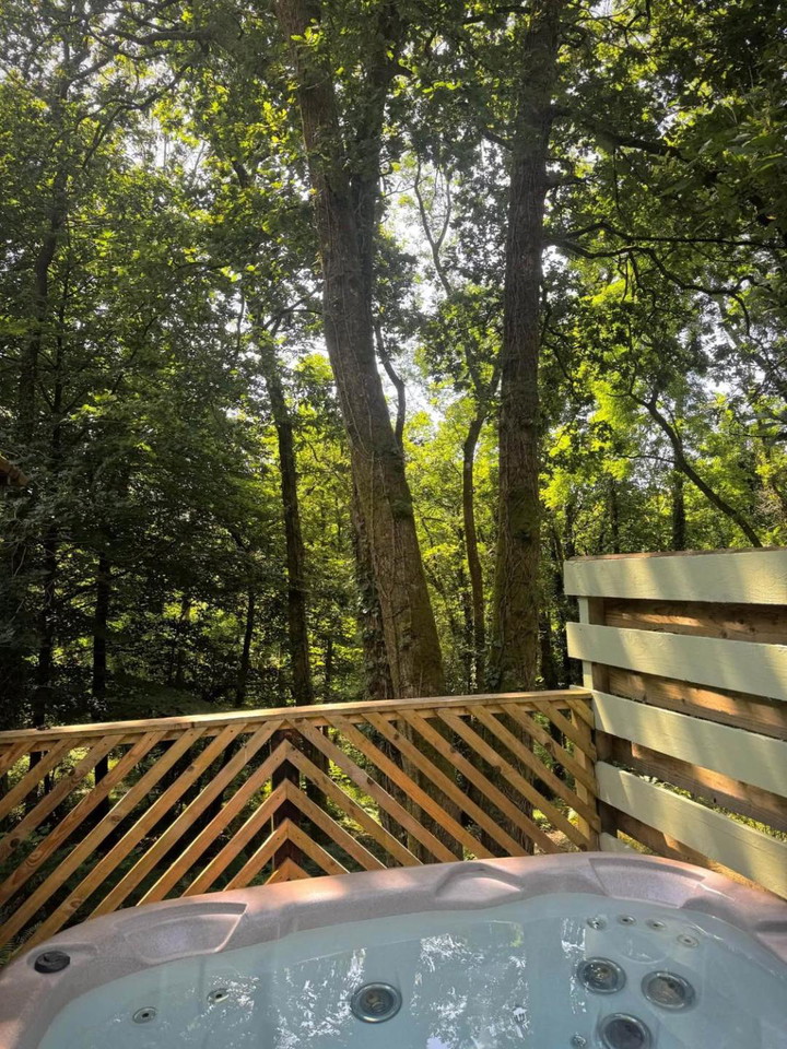 Goldcrest 1-hot Tub-woodland Lodges-carmarthenshire-tenby - Pembrokeshire