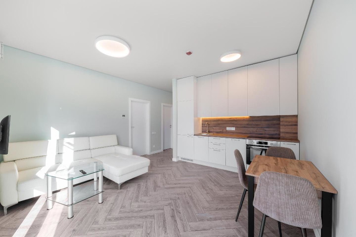 Stay At Ramu Du In Vilnius Near Vno Self Check-in - Vilnius