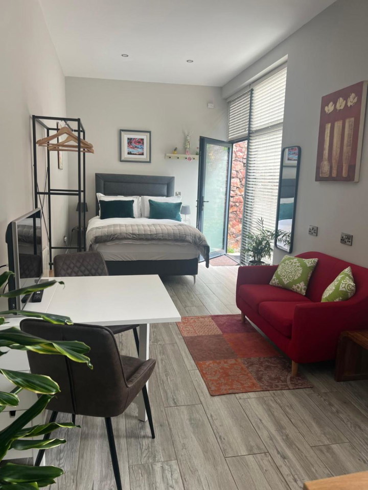 Hugo Mews Bright Studio Apartment - Dun Laoghaire