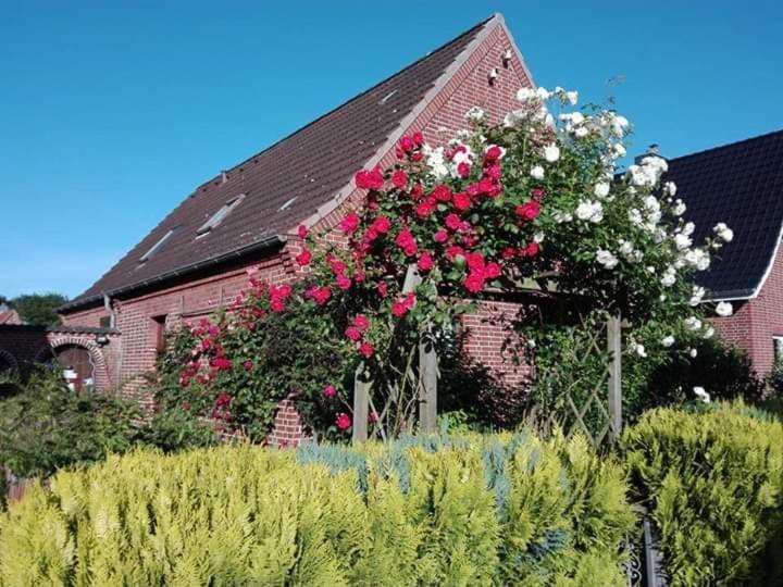 Ferienwohnung Casa Capurso - Friburgo, Alemania