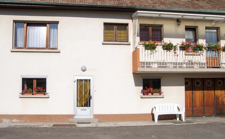 Maison Enchanteur à Berrwiller Avec Jardin Paisible - Alps