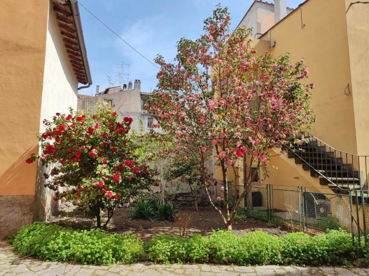 Il Giardino Delle Camelie - Italie