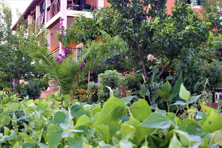 Valentina's Family Apartments 2 - Himarë