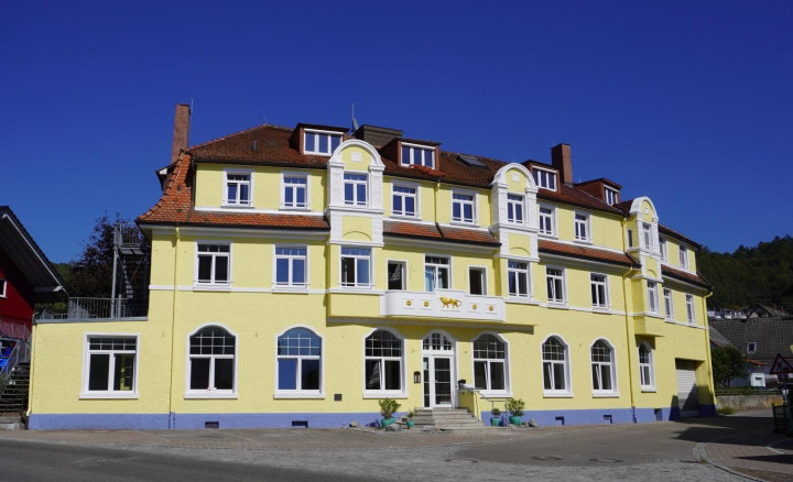 Art Residence Goldener Löwe - Bodman-Ludwigshafen