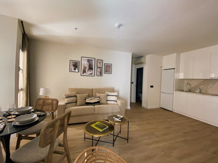 Apartamentos Málaga Premium - Calle San Telmo - Málaga
