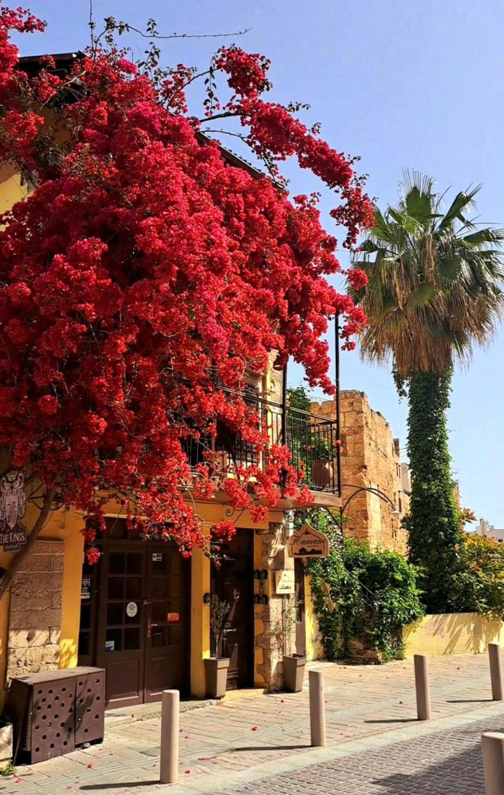 Hamam Suites Sifaka - Chania