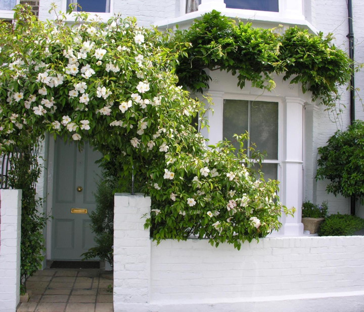 Hurlingham Bed And Breakfast - Surbiton