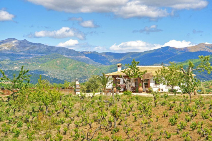 Casa Rural Juzcar - Benaoján