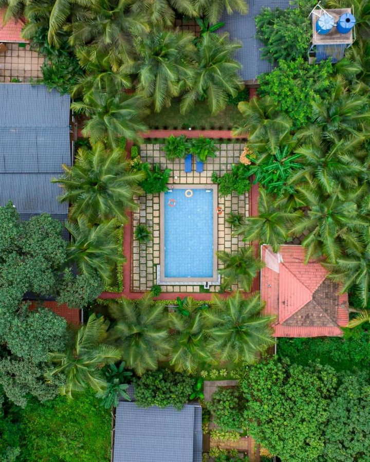 White Truffle Resort, Arambol - Goa