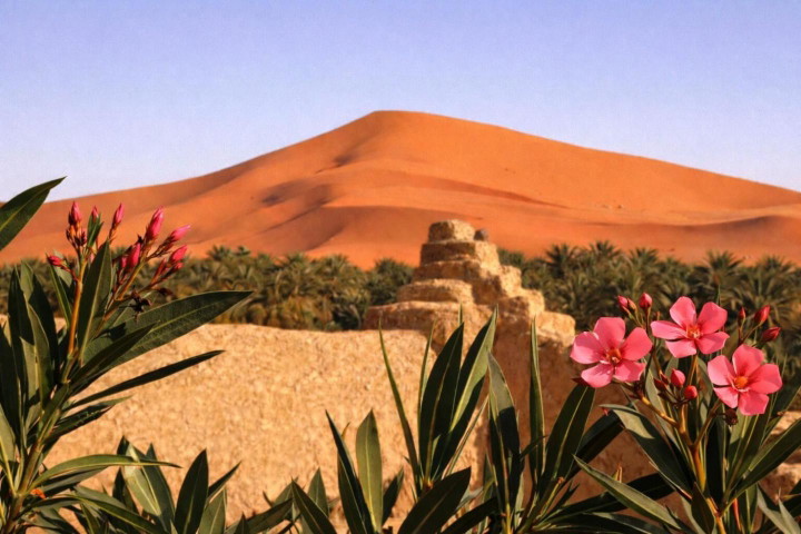 Auberge La Vallée Des Dunes - Merzouga