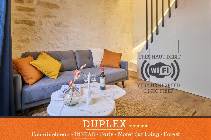 Duplex Standing 7min➤fontainebleau-insead⎮45min➤paris - Seine-et-Marne