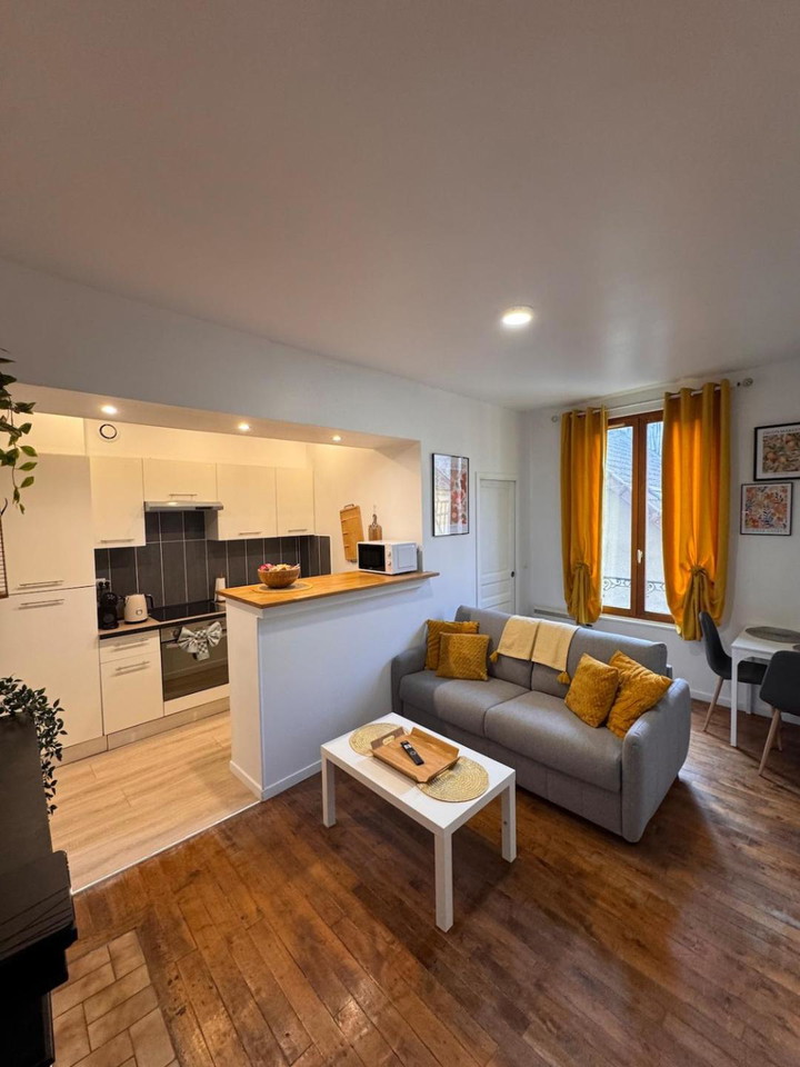Le Mimosa - Calme Hyper Centre - Troyes