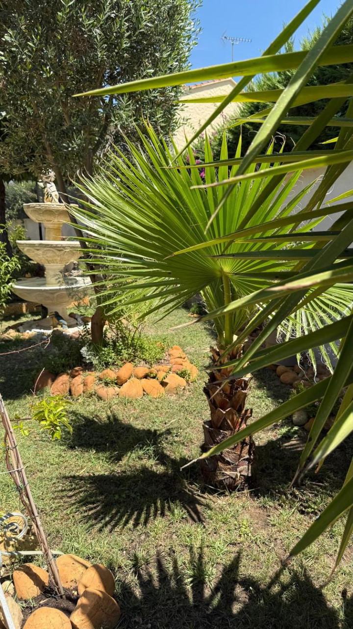 Superbe Logement Au Rez-de Chaussée Avec Jardin - Arles