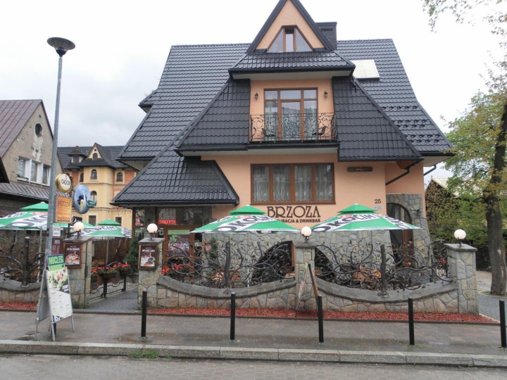 Brzoza W Centrum Zakopanego - Zakopane