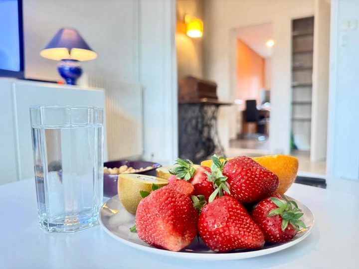Charming Apartment In Albi Free Parking - Albi