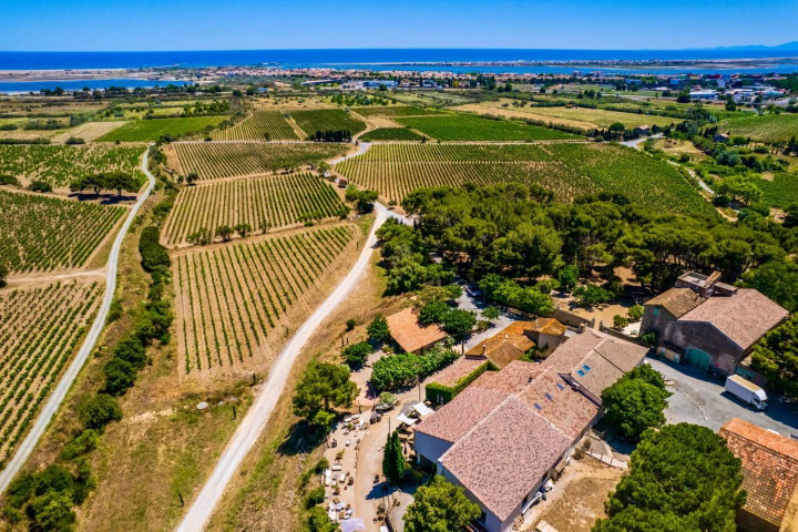 Château Le Bouïs Hotel & Wine - Languedoc-Roussillon
